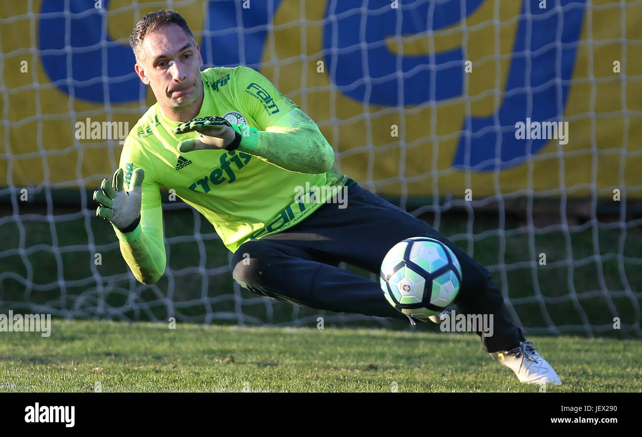 SÃO PAULO, SP - 27.06.2017: TREINO DO PALMEIRAS - Goalkeeper Fernando ...
