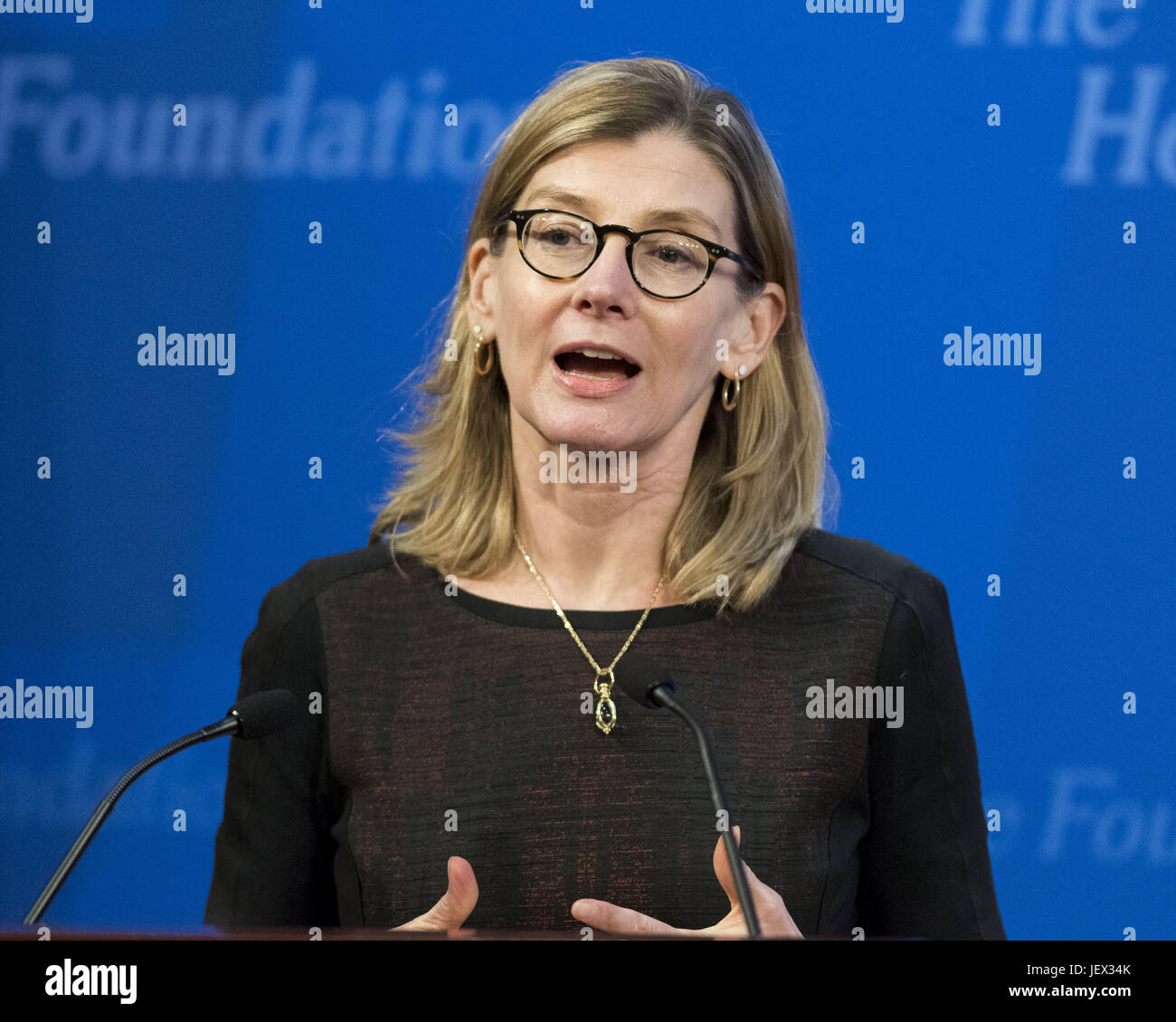 Washington, DC, USA. 27th June, 2017. NANCY LINDBORG speaking at a ...