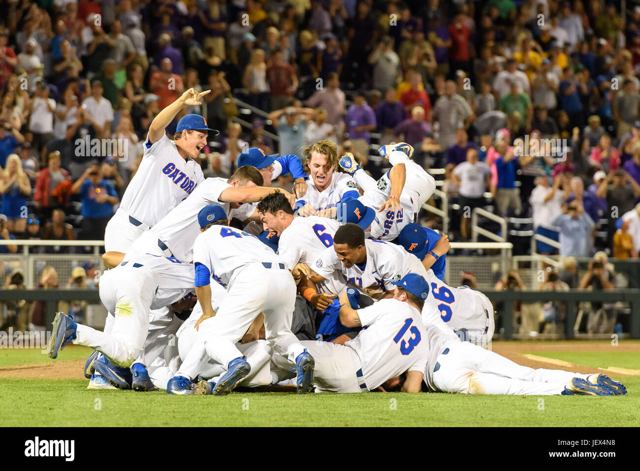 Dogpile hi-res stock photography and images - Alamy