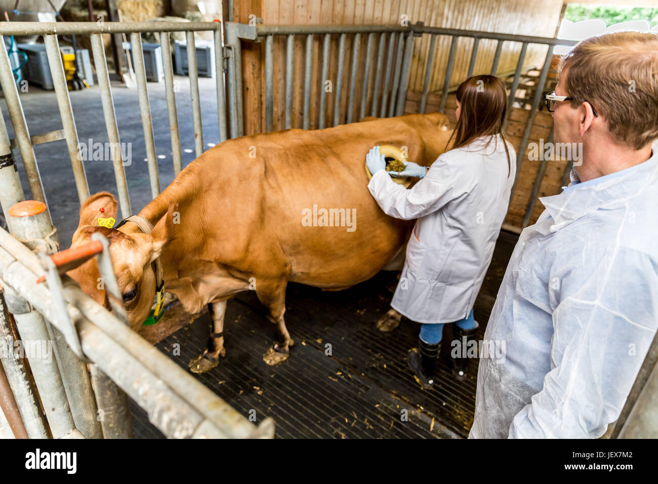 Rodehutscord hi-res stock photography and images - Alamy