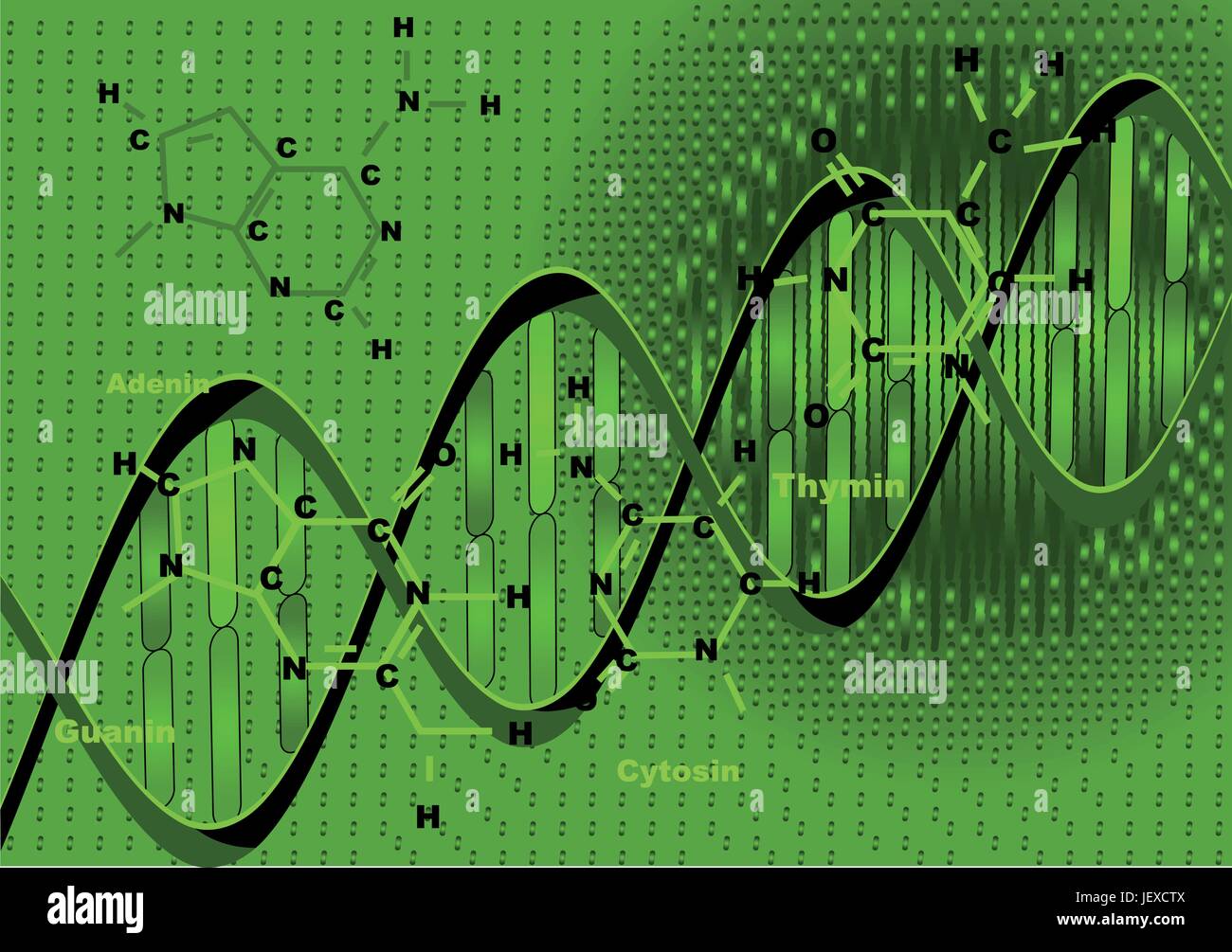 arrangement, science, research, human, human being, spiral, cell ...