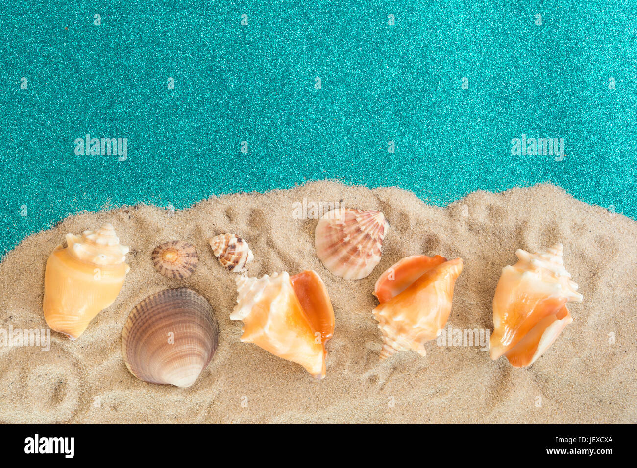 Group of sea conchs and shells placed on beach sand and shiny bright ...