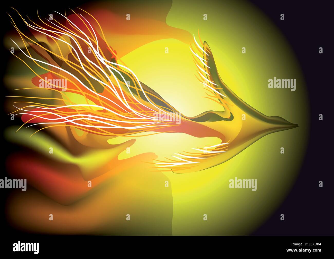 bird, wing, illustration, fire, conflagration, bizarre, flame, flames ...