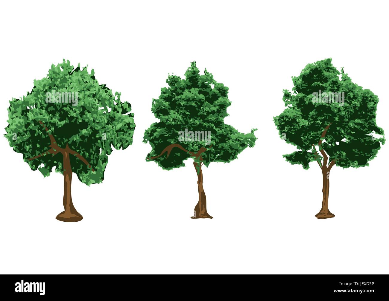 leaf, isolated, model, design, project, concept, plan, draft, tree ...