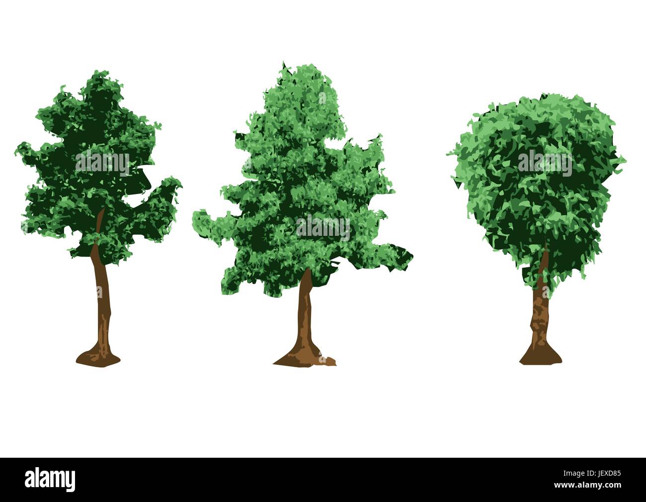 leaf, isolated, model, design, project, concept, plan, draft, tree ...
