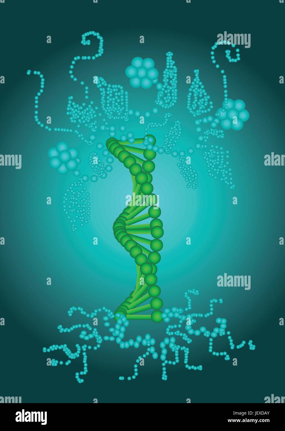 Human being evolution Stock Vector Images - Alamy