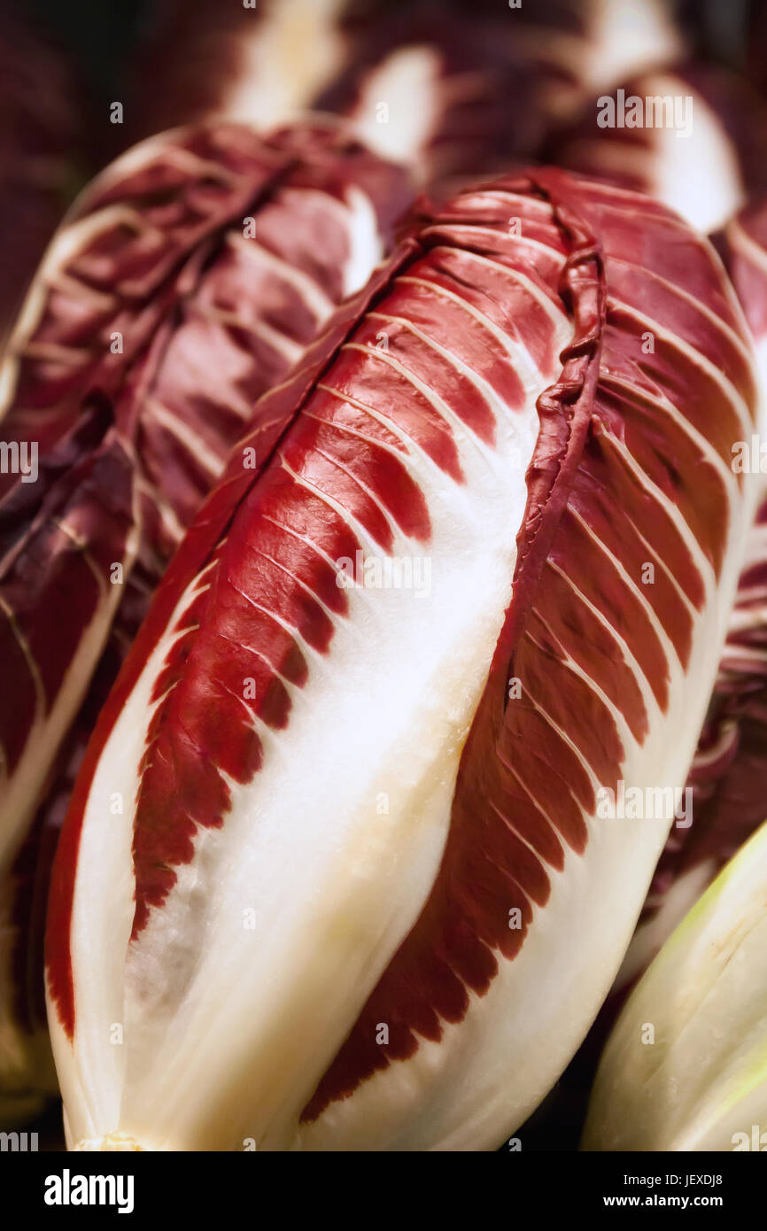 Treviso radicchio hi-res stock photography and images - Alamy