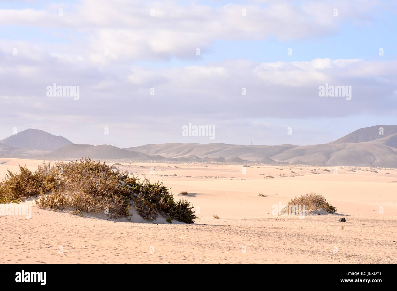 Dry Desert Landscape Stock Photo - Alamy