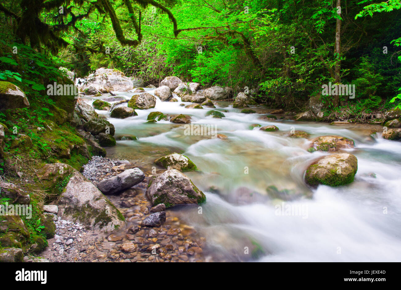Beautiful stream in wild nature hi-res stock photography and images - Alamy