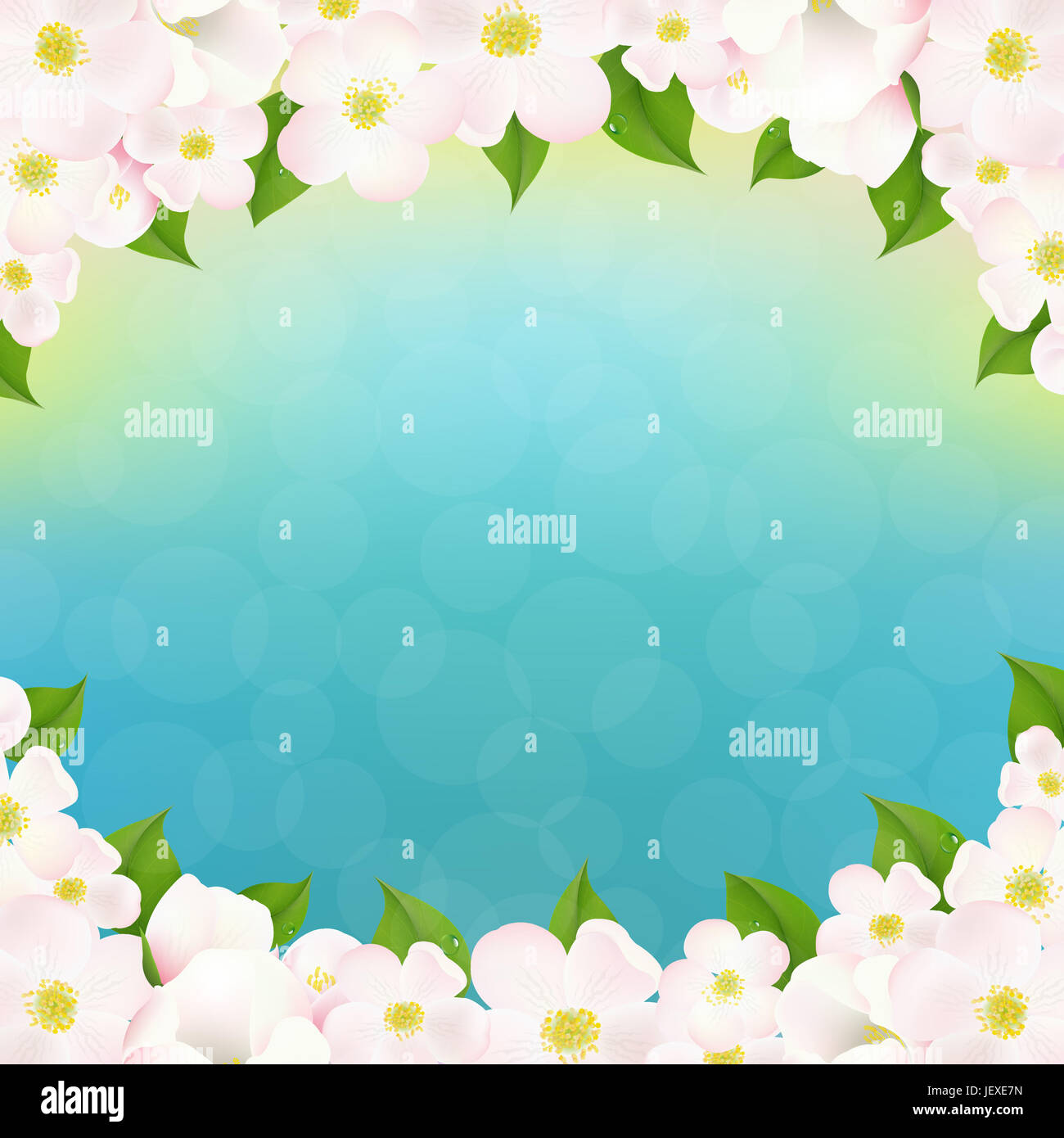 Apple tree border hi-res stock photography and images - Alamy