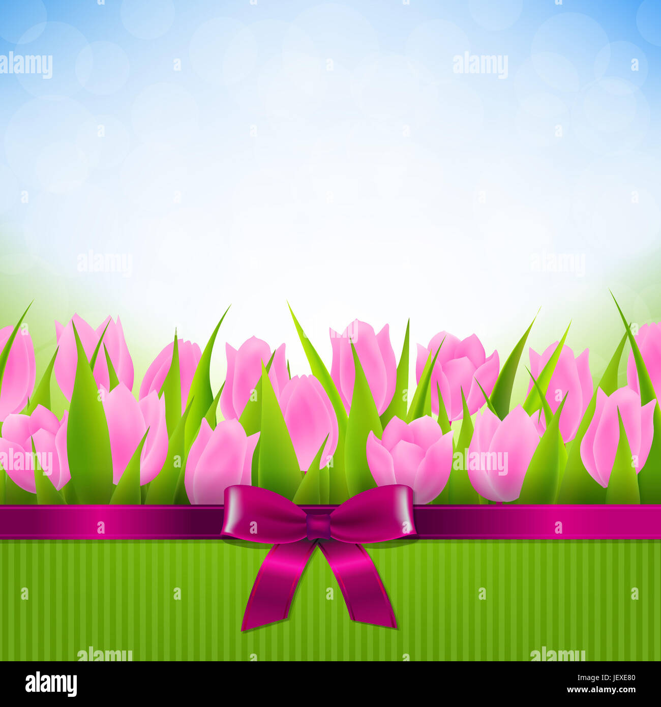 Pink tulip border hi-res stock photography and images - Alamy