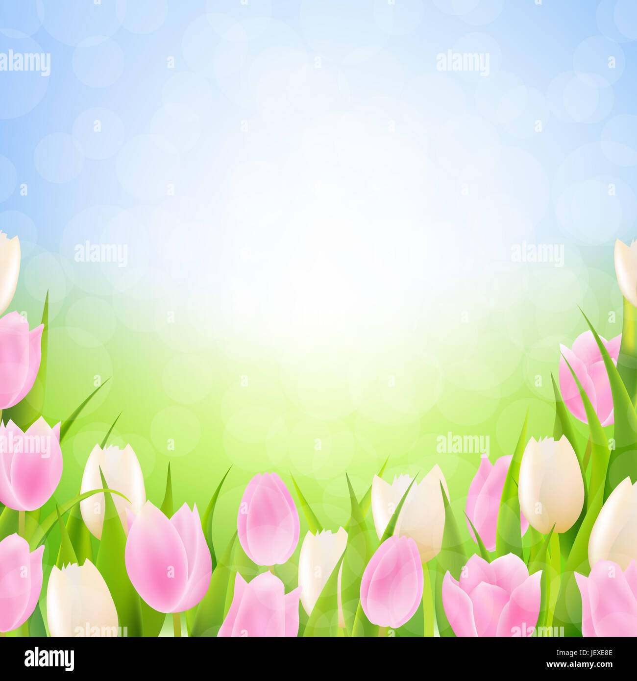 Pastel garden border hi-res stock photography and images - Alamy