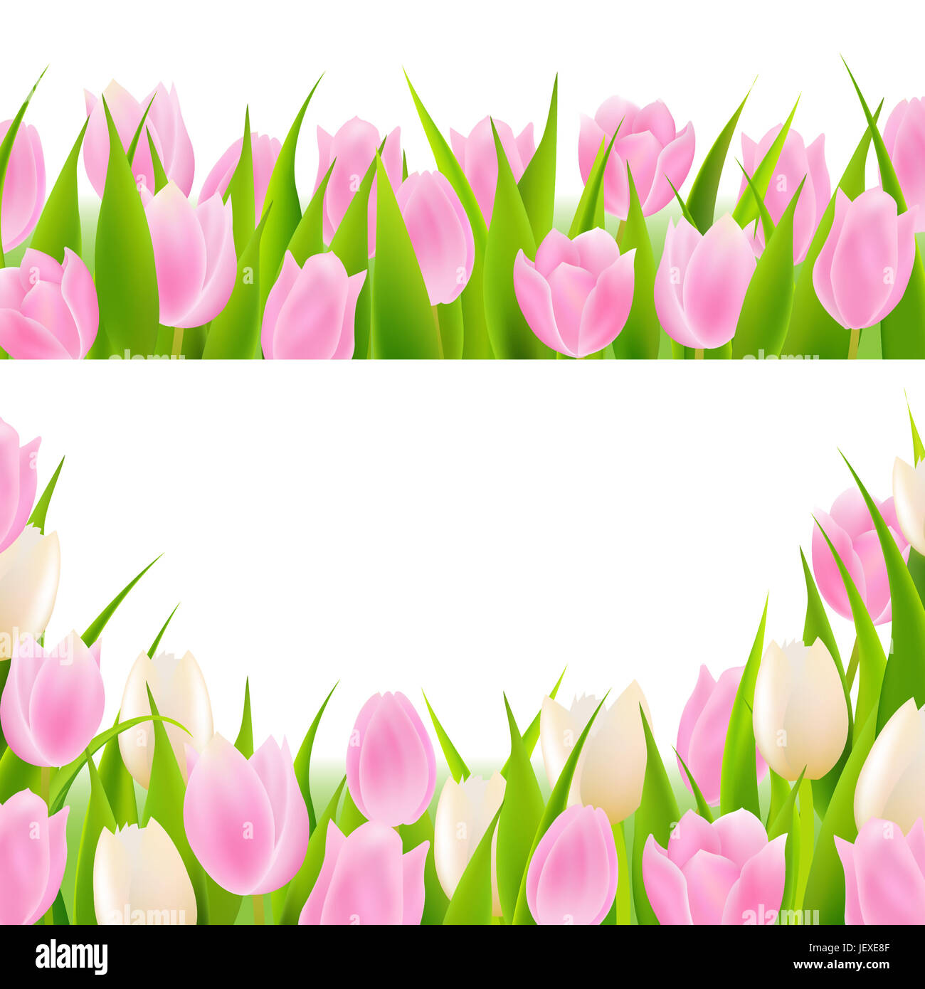 Spring Pink Borders Set Stock Photo - Alamy