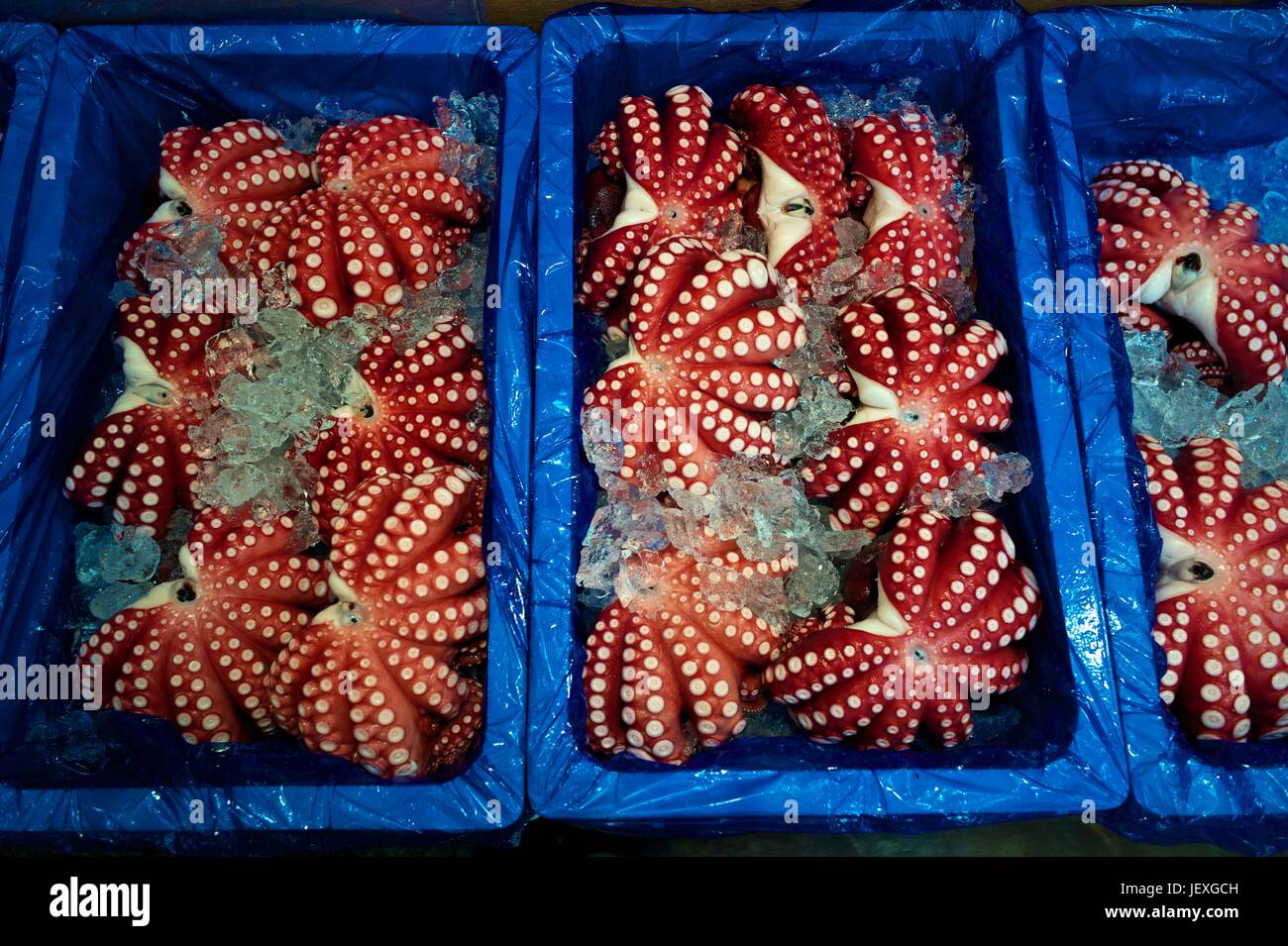 Largest wholesale markets in hi-res stock photography and images - Alamy