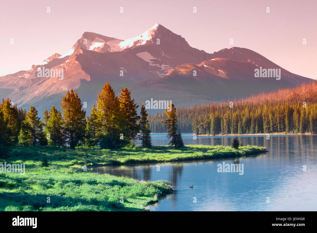 Maligne lake horizontal hi-res stock photography and images - Alamy