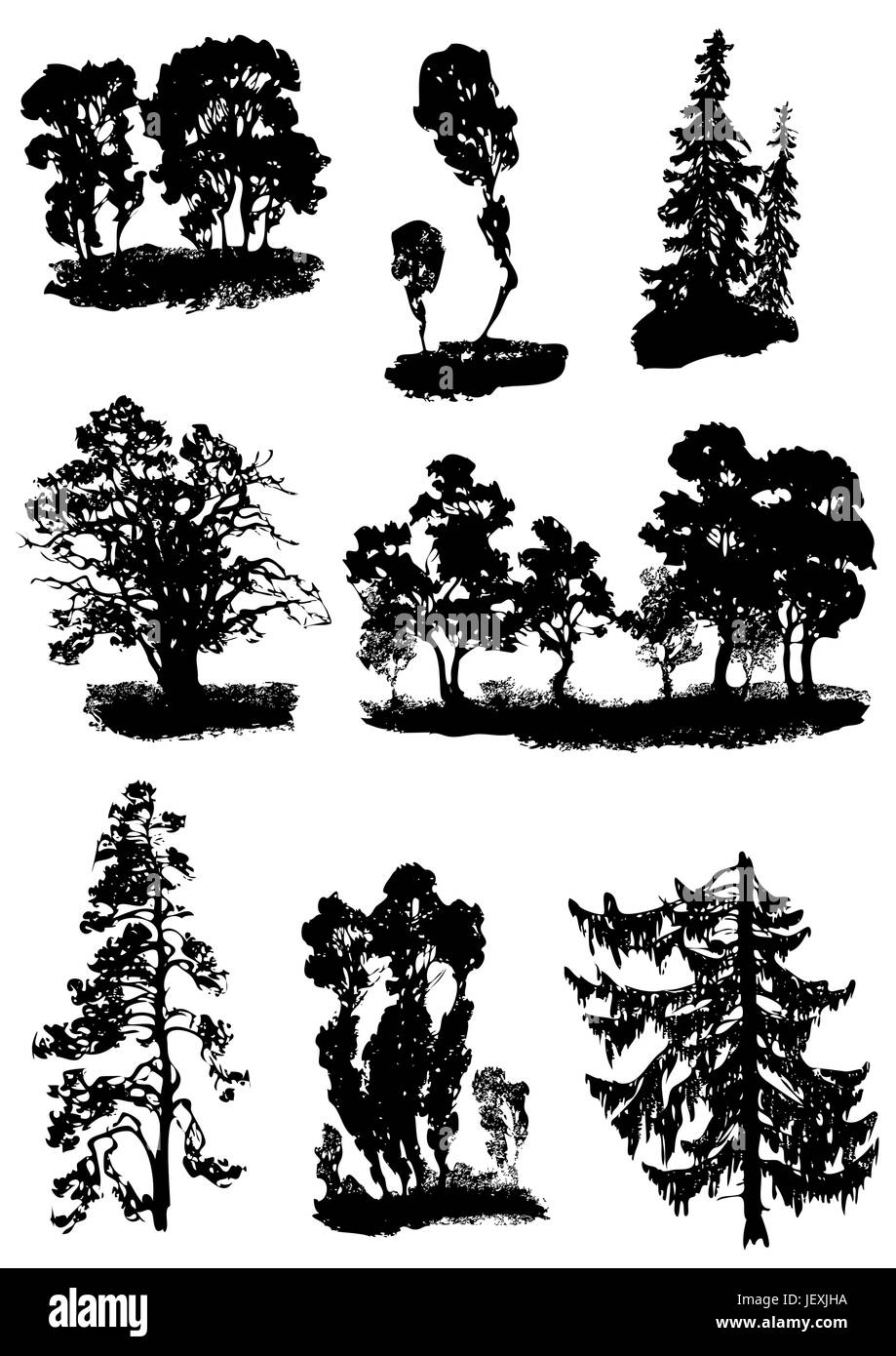 tree, woods, silhouette, softwood, vector, spruce, forest, tree, trunk ...