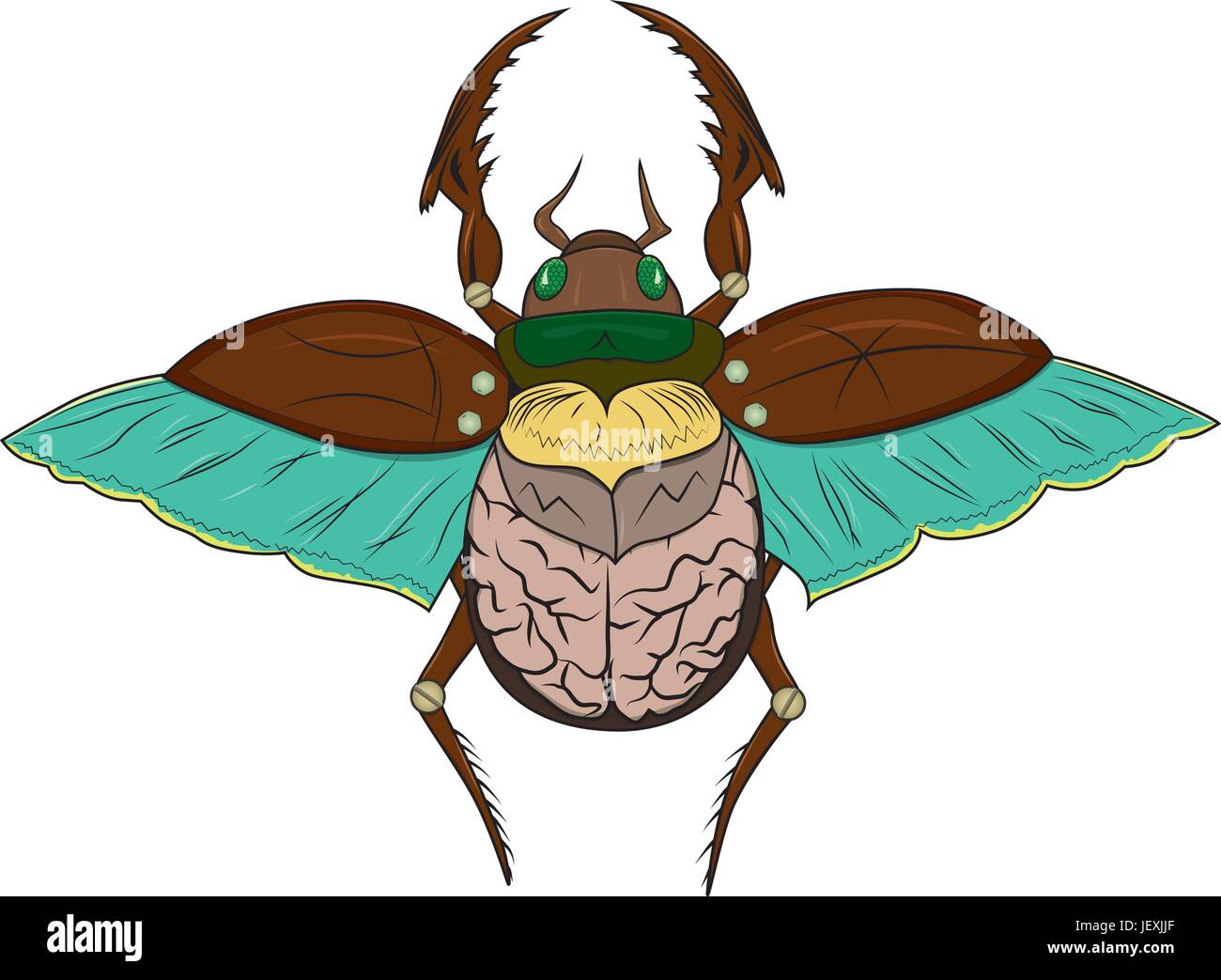 Winged brains Stock Vector Images - Alamy