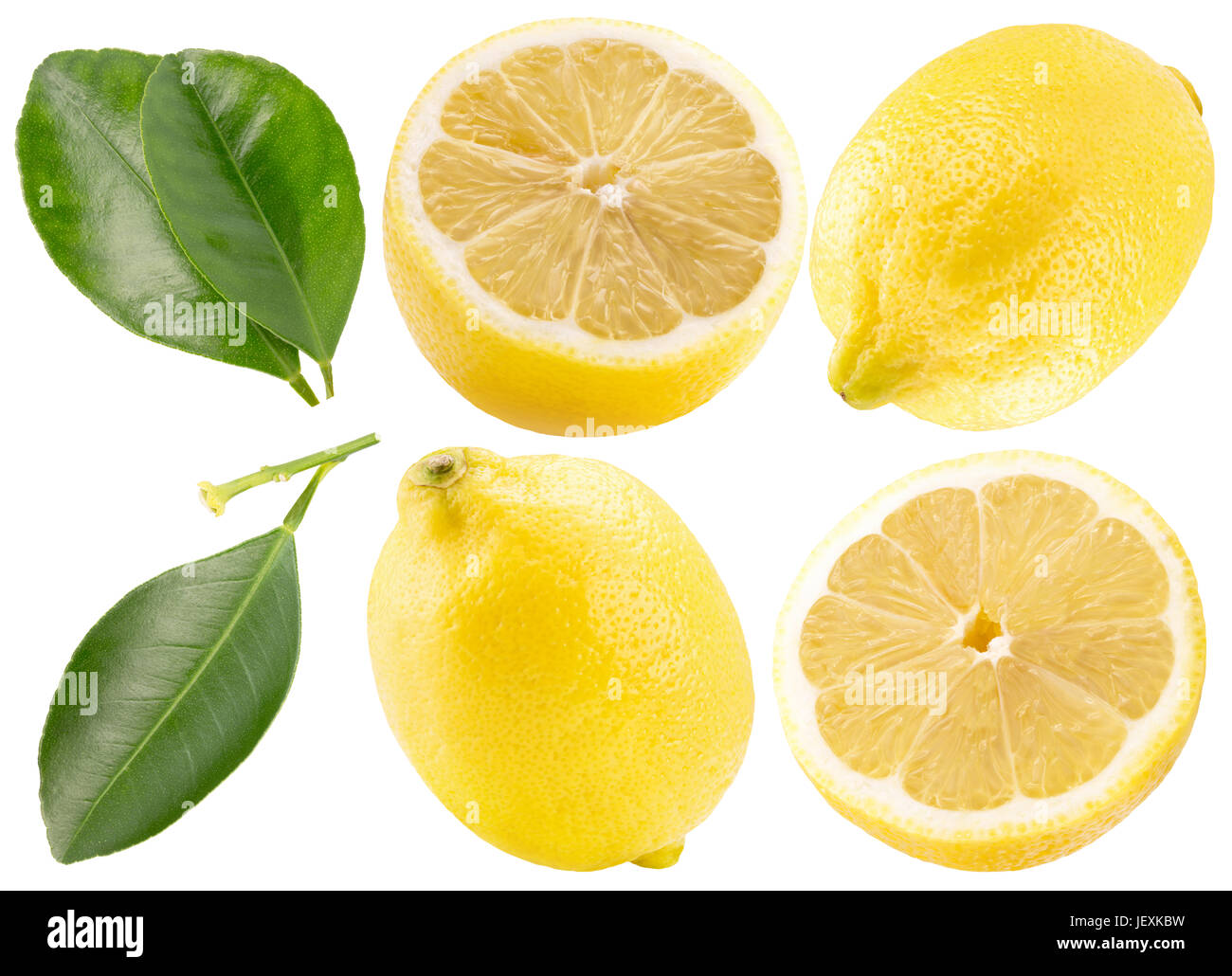 collection of lemons isolated on a white background Stock Photo - Alamy