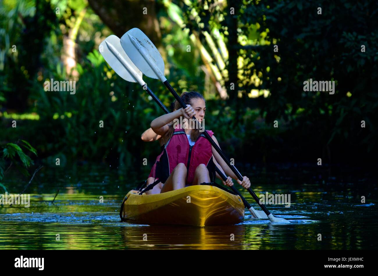 In humedal caribe noreste at tortuguero national park hi-res stock ...