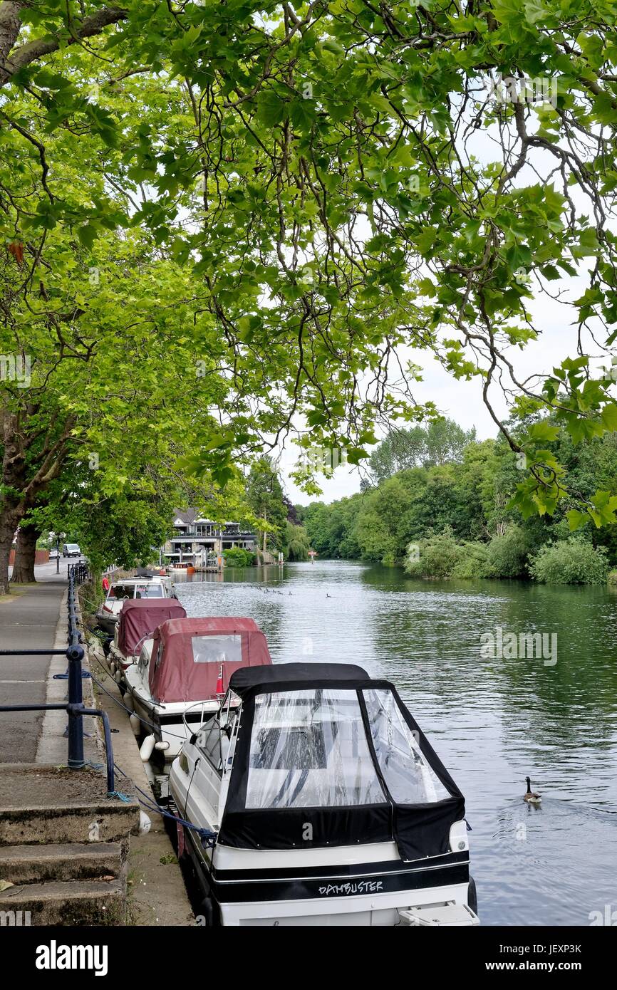 Riverside at Maidenhead Berkshire UK Stock Photo - Alamy