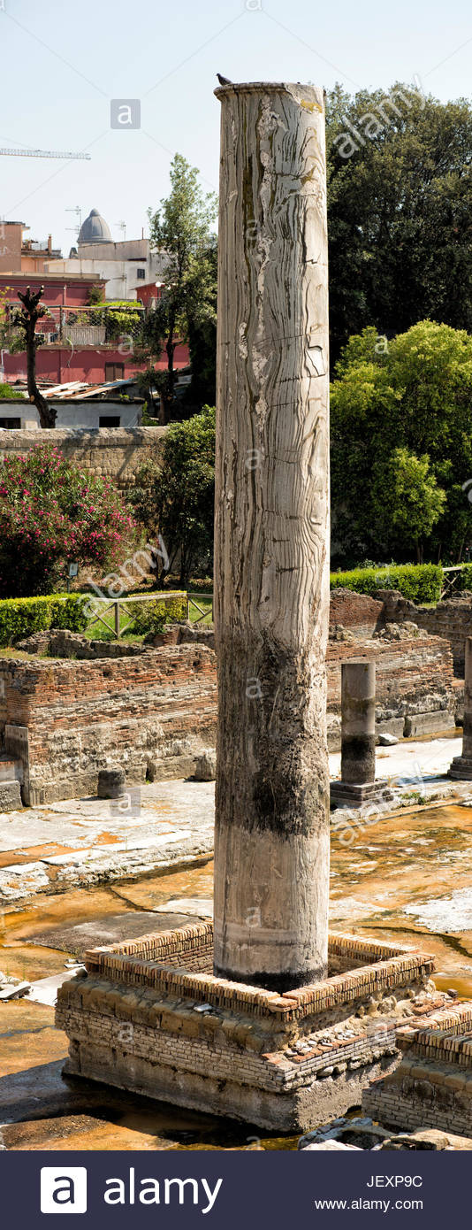 Macellum Stock Photos & Macellum Stock Images - Alamy