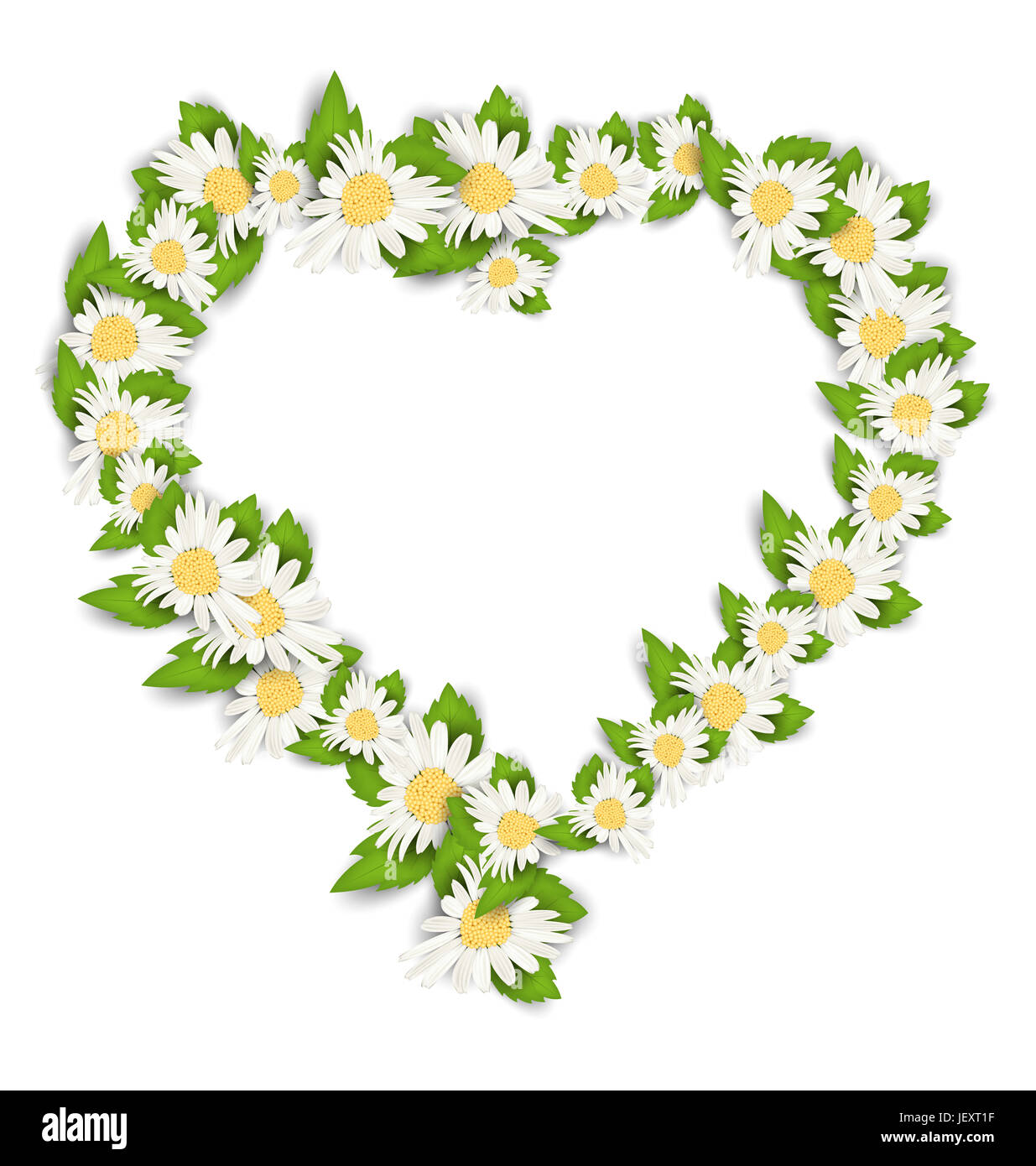 Illustration Daisy Flowers in Form Heart Isolated on White Background ...