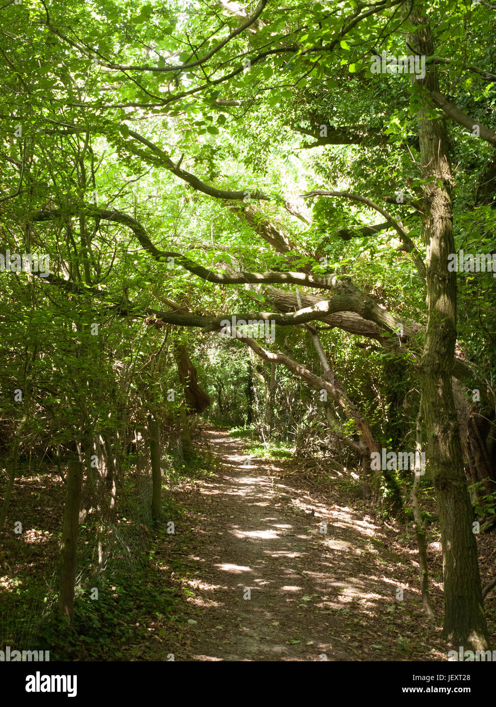 Shaded Walkway High Resolution Stock Photography and Images - Alamy