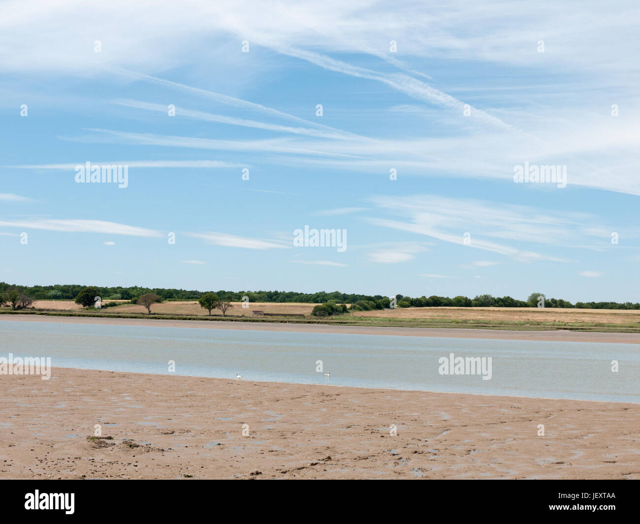 a bay and beach mudflat on a river side in essex england on a clear day ...