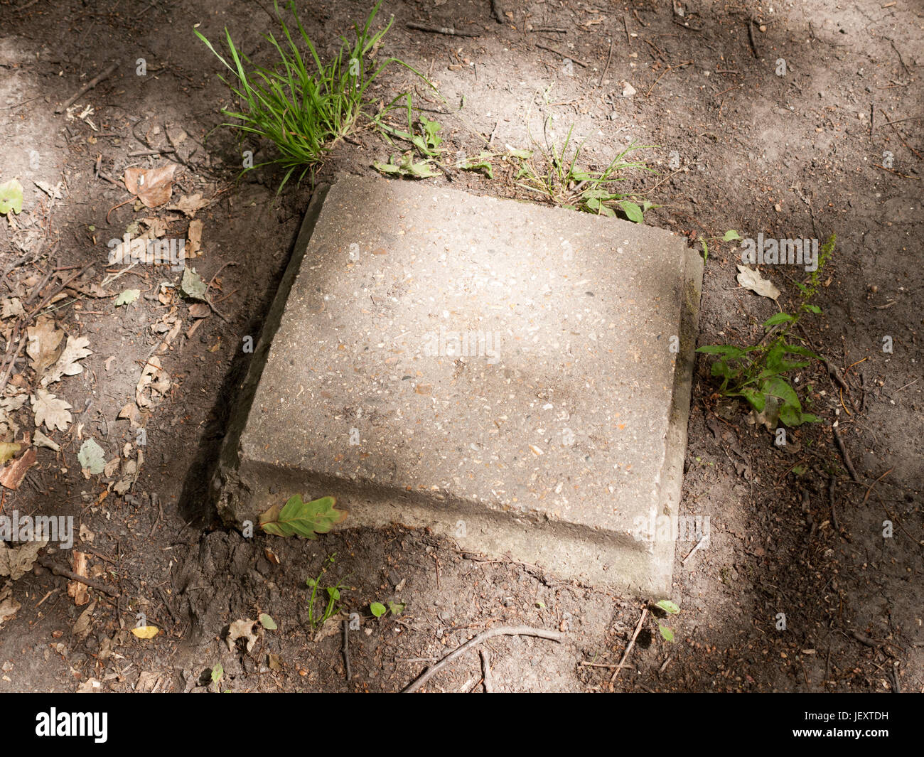 a path of footsteps in mud going through the forest Stock Photo - Alamy