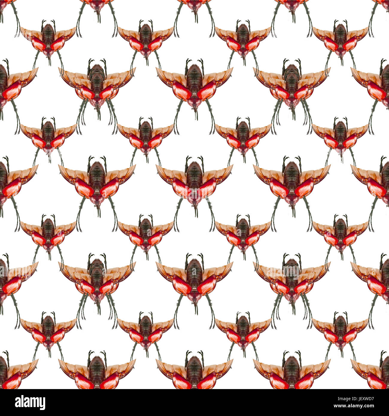 Insect Seamless Pattern Design Stock Photo - Alamy