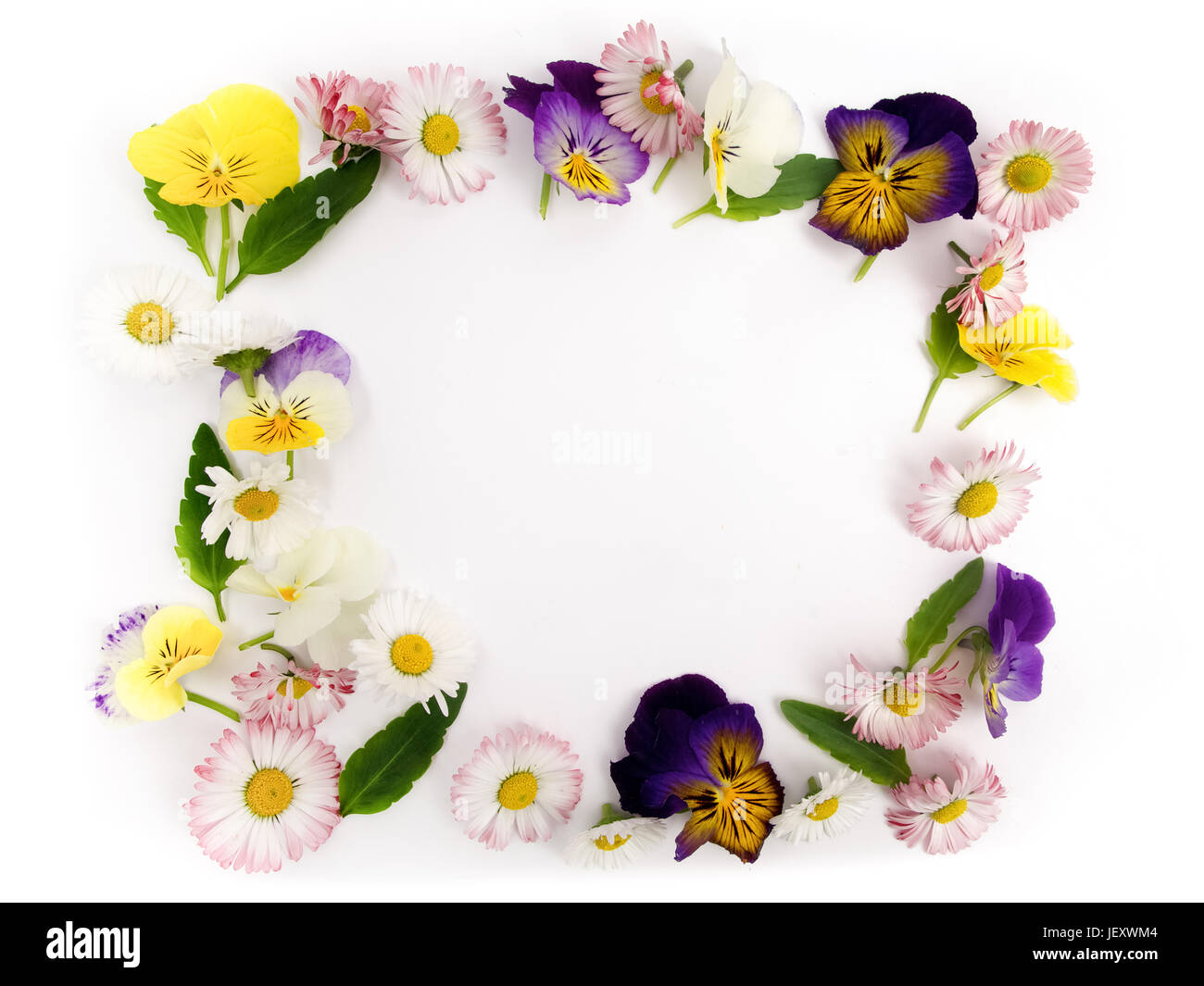 frame with colourful wildflowers on white background Stock Photo - Alamy