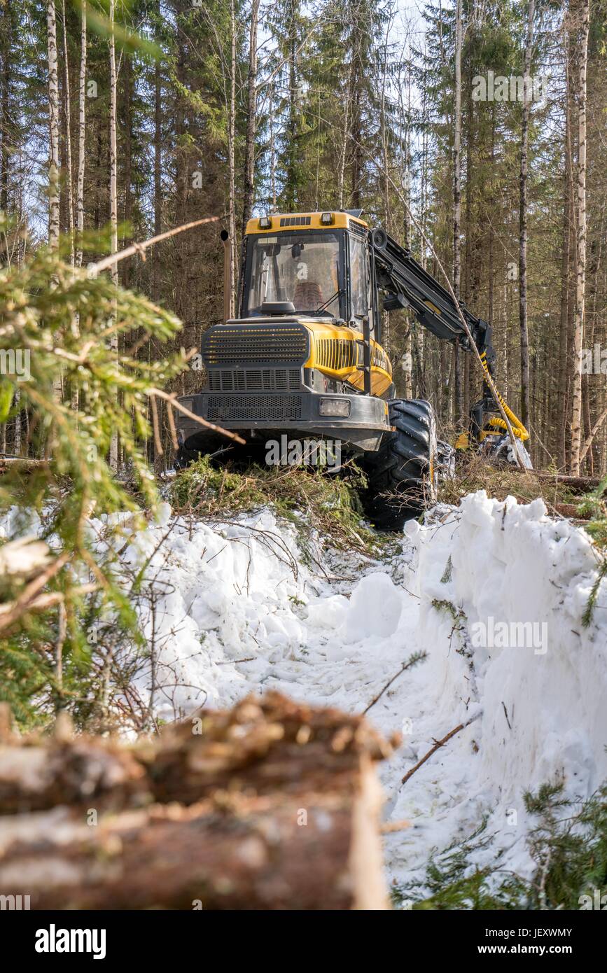 Logger hi-res stock photography and images - Alamy