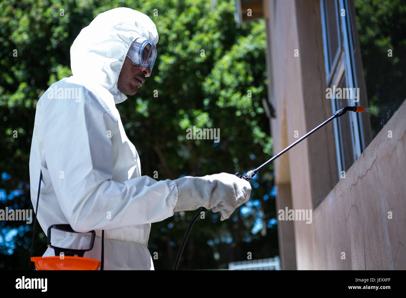 Pest controlling insects hi-res stock photography and images - Alamy