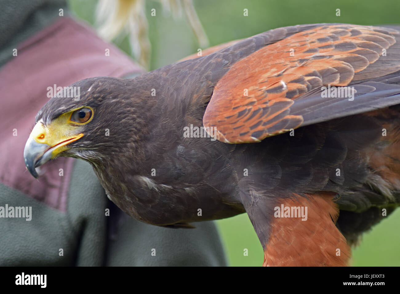 Cupar centre hi-res stock photography and images - Alamy