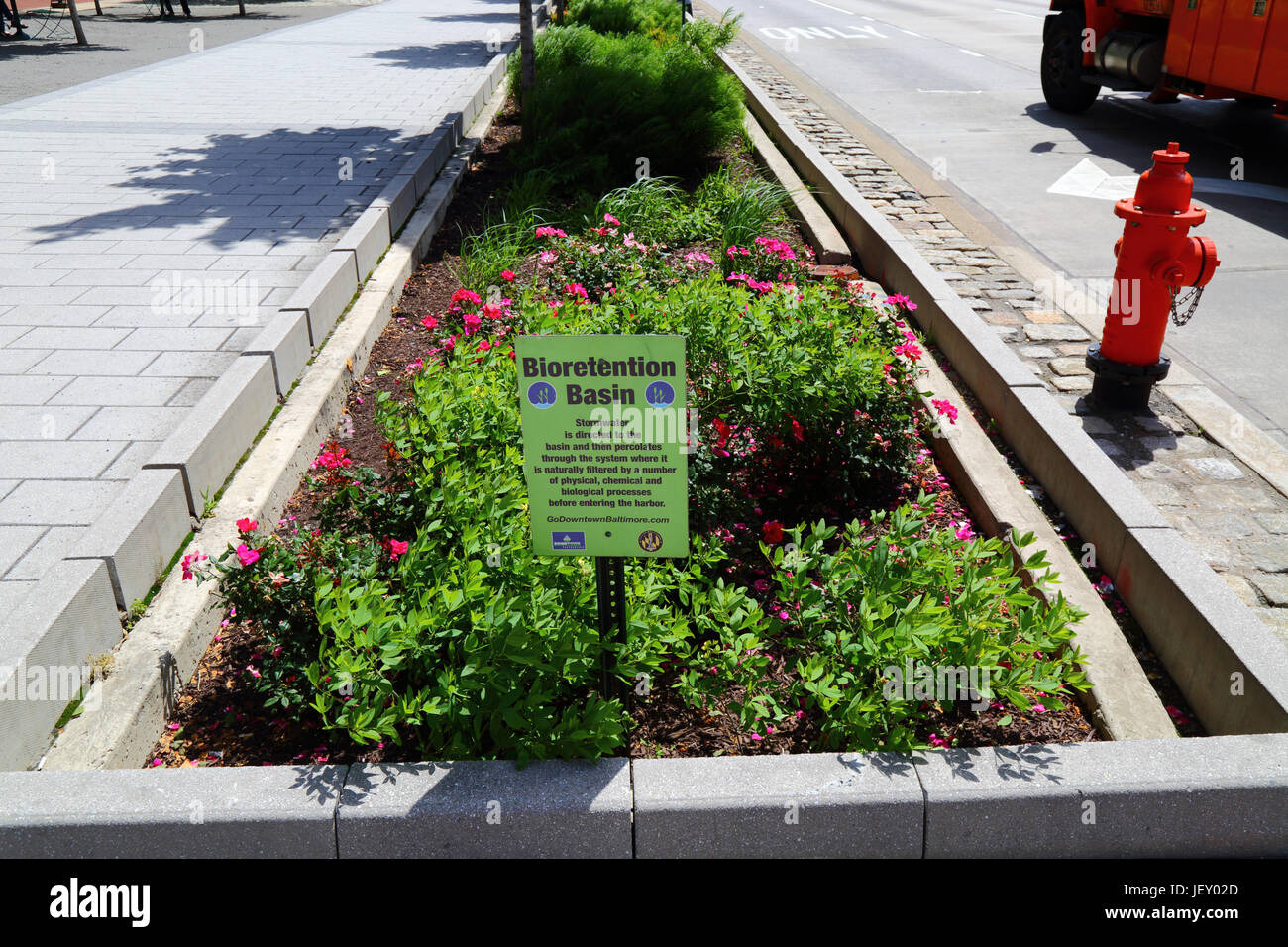 Bioretention Basin / rain garden for filtering stormwater runoff before ...
