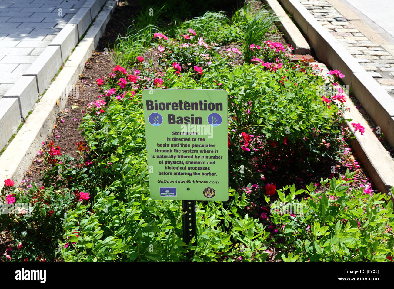 Bioretention Basin / rain garden for filtering stormwater runoff before ...