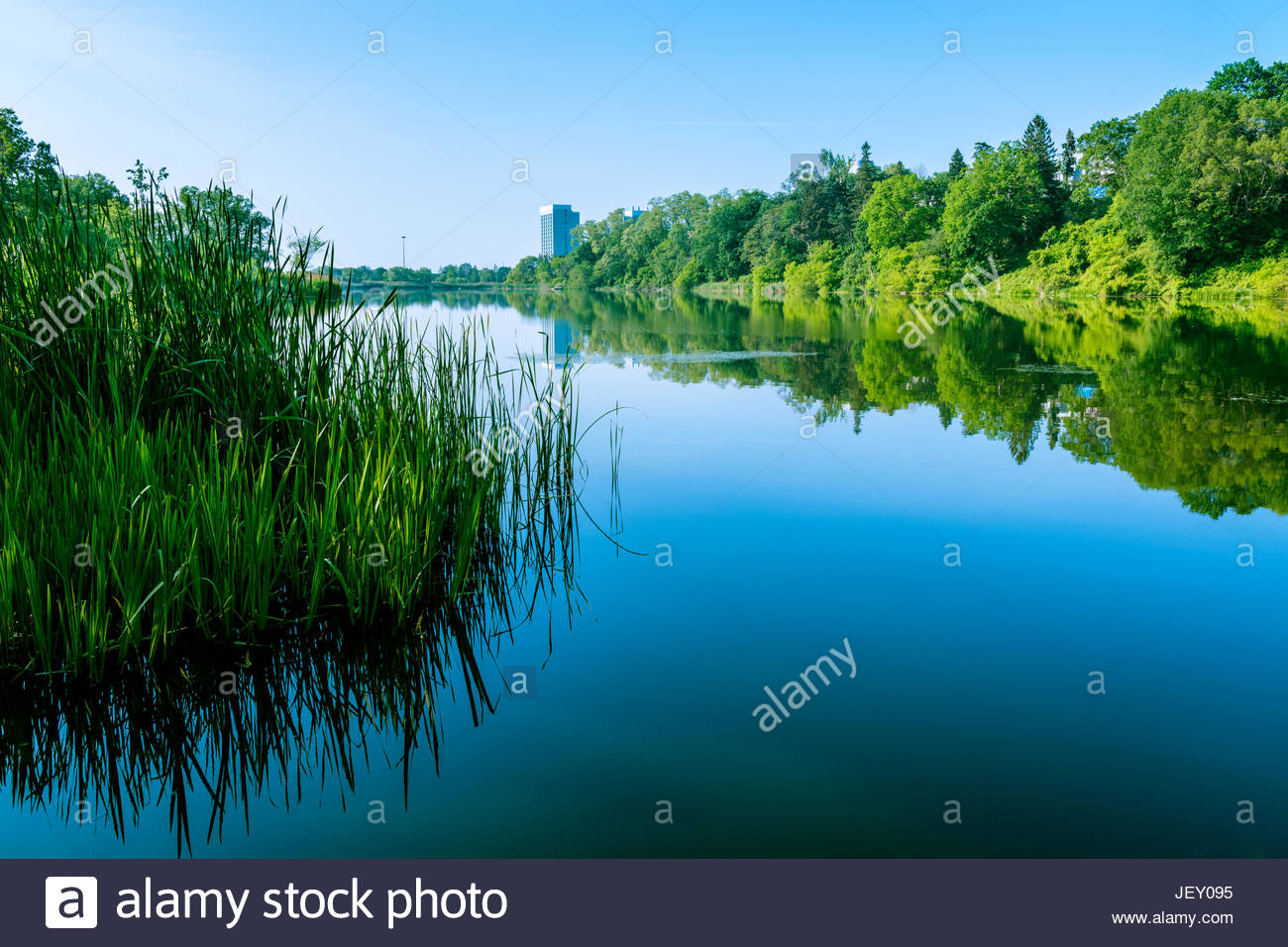 High Park Toronto Summer High Resolution Stock Photography and Images ...