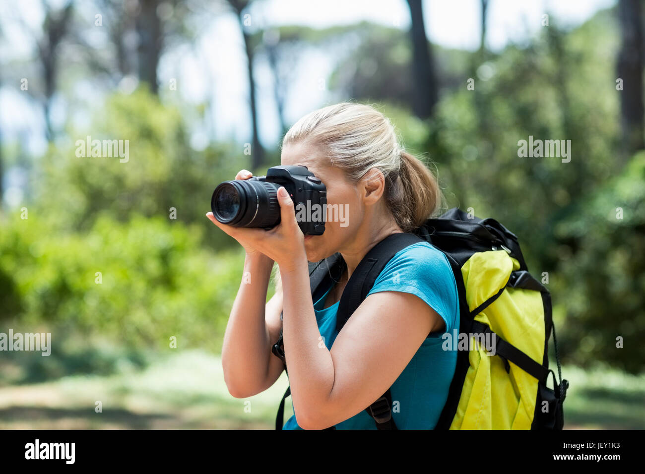 Woman taking pictures tree hi-res stock photography and images - Alamy