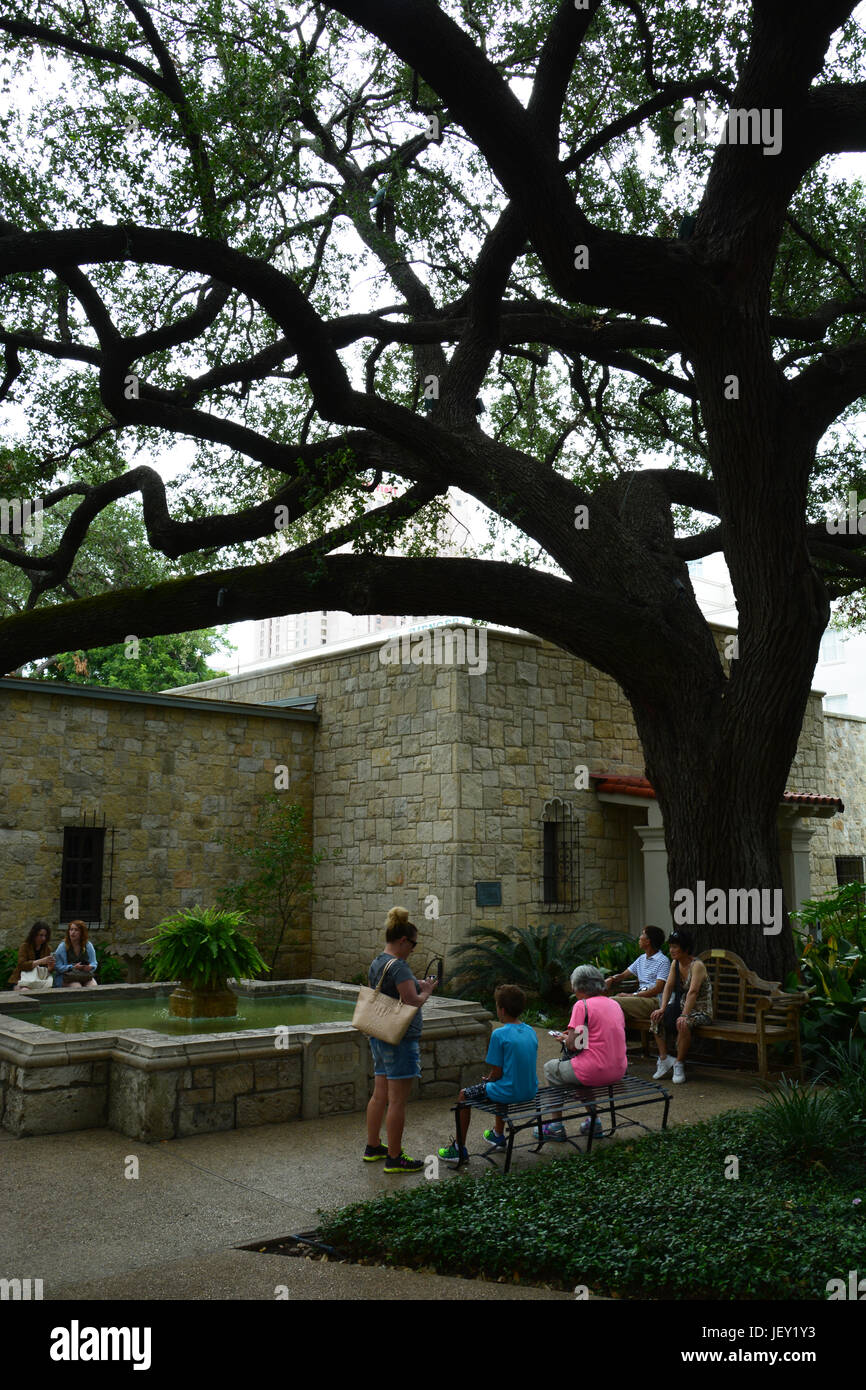 Visitors rest under the shade of a Live Oak in the courtyard terrace ...