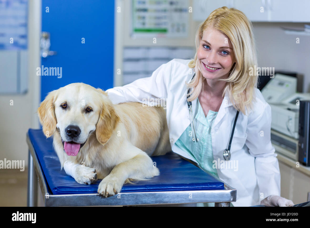 Woman vet smiling and posing with a dog Stock Photo - Alamy