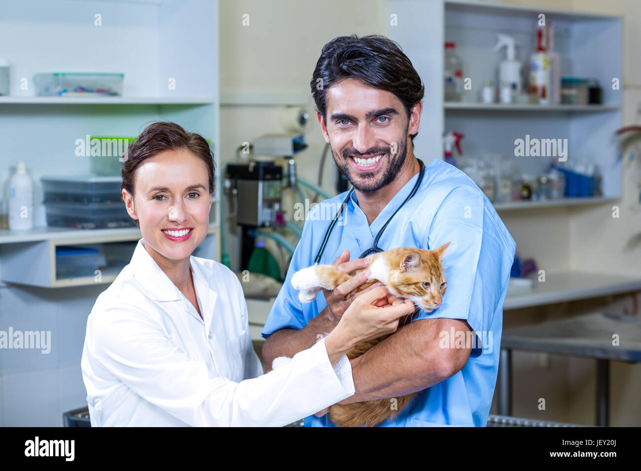 Portrait cheerful male veterinarian medical hi-res stock photography ...