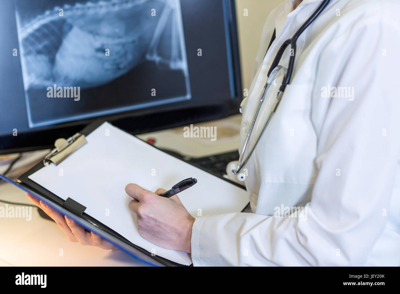 A woman vet taking notes Stock Photo - Alamy