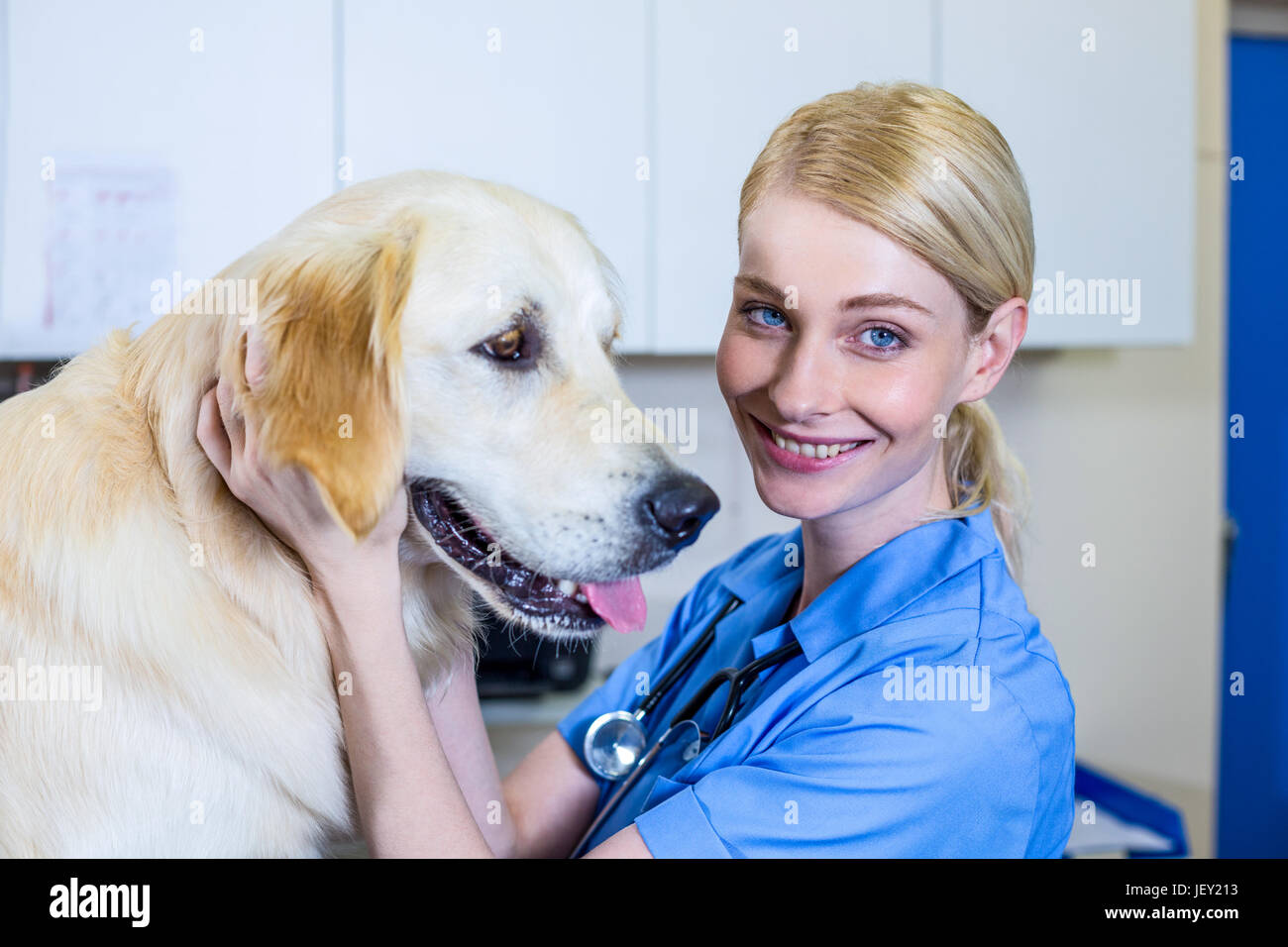 A smiling vet petting a dog Stock Photo - Alamy