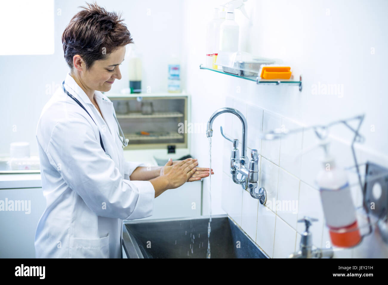 Beautiful brunette woman washing pet hi-res stock photography and ...