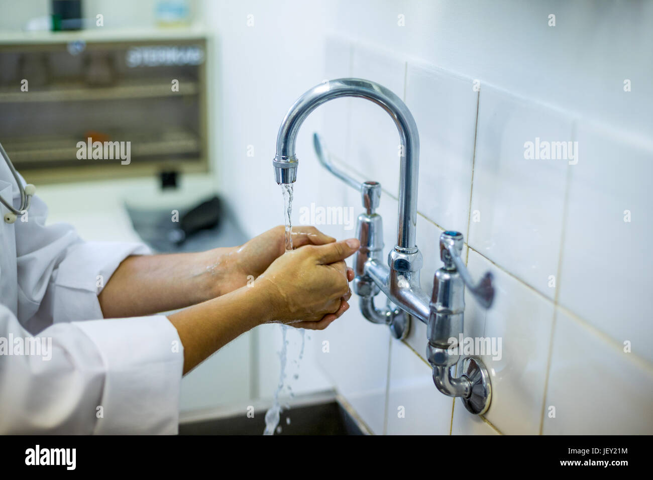 Washing hands animal hi-res stock photography and images - Alamy