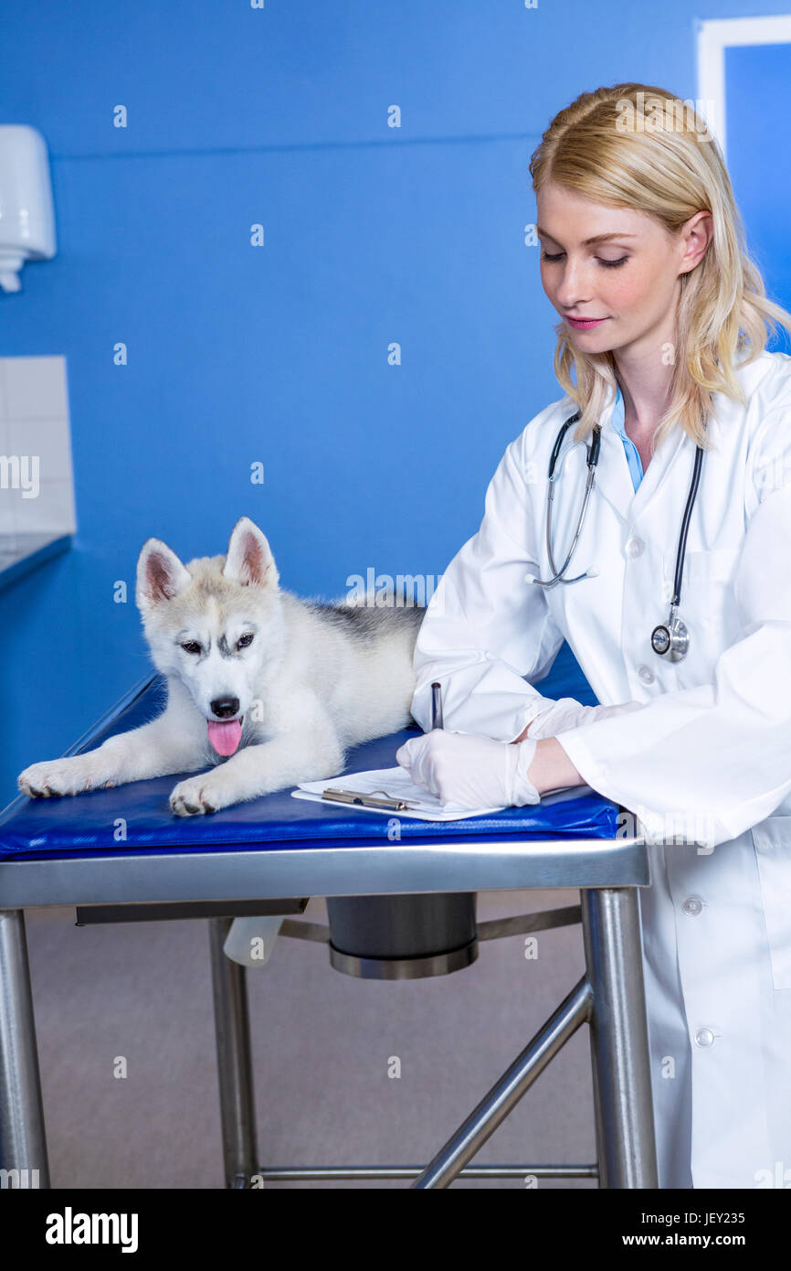 A woman vet taking notes with clipboard Stock Photo - Alamy