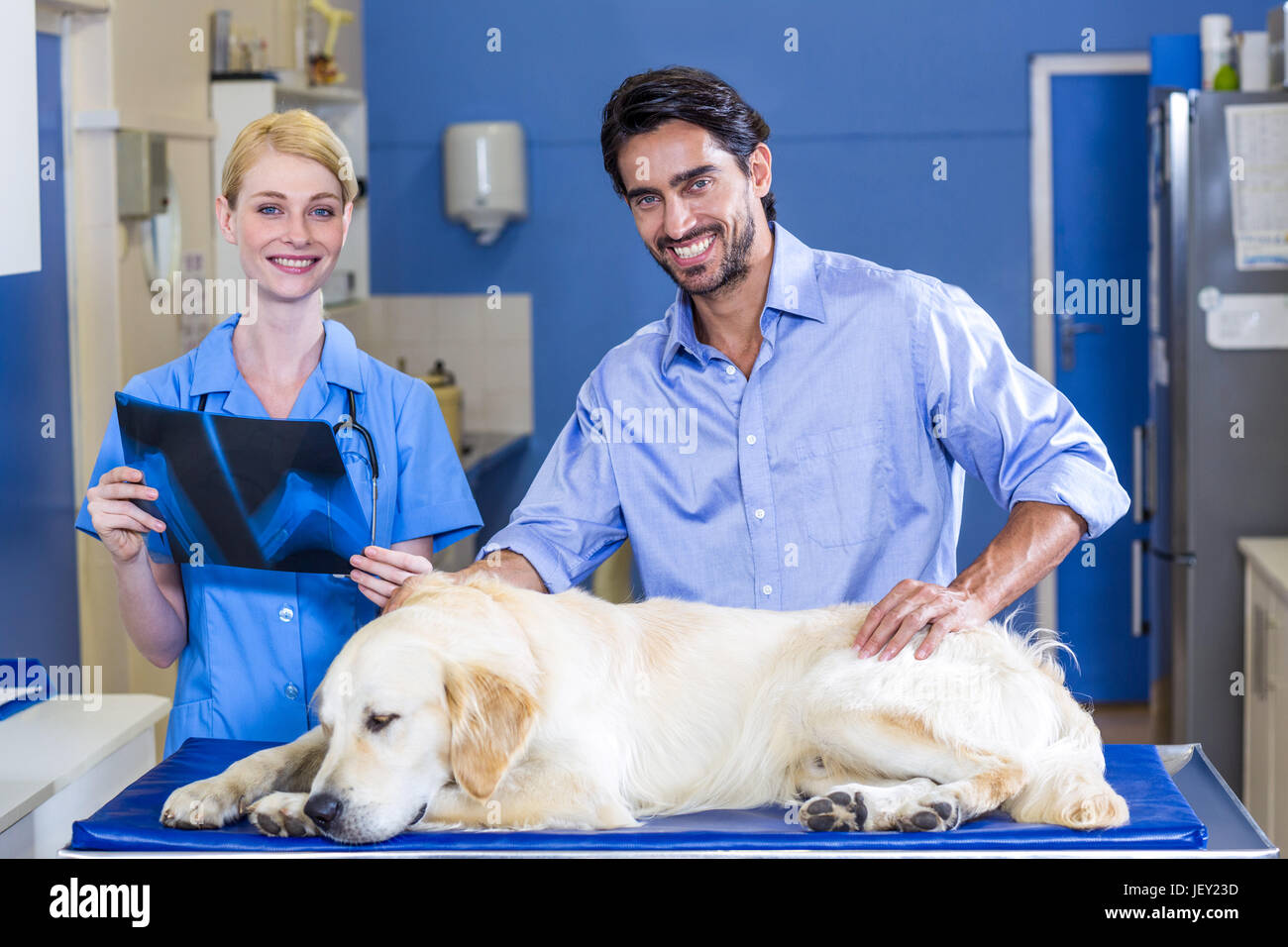 Woman vet and dogs owner smiling and posing Stock Photo - Alamy