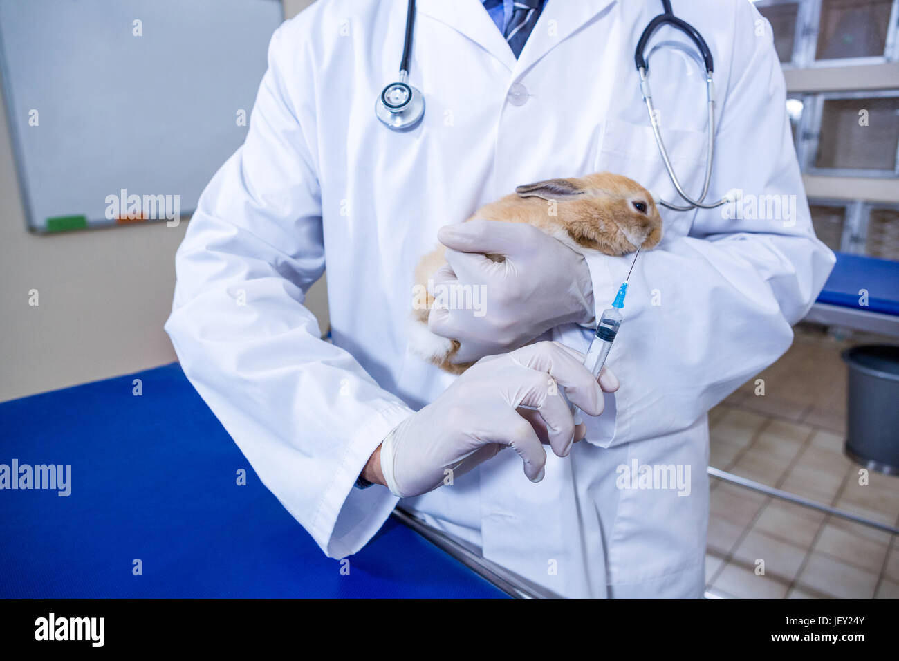 A vet holding a rabbit Stock Photo - Alamy