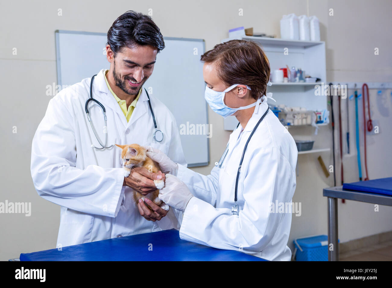 Smiling vets holding a cute cat Stock Photo - Alamy