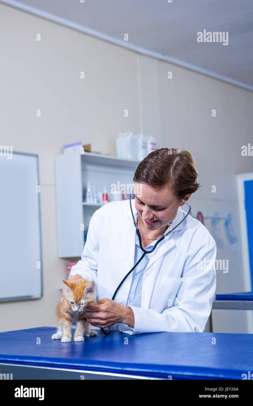 A woman vet taking care of a cute cat Stock Photo - Alamy